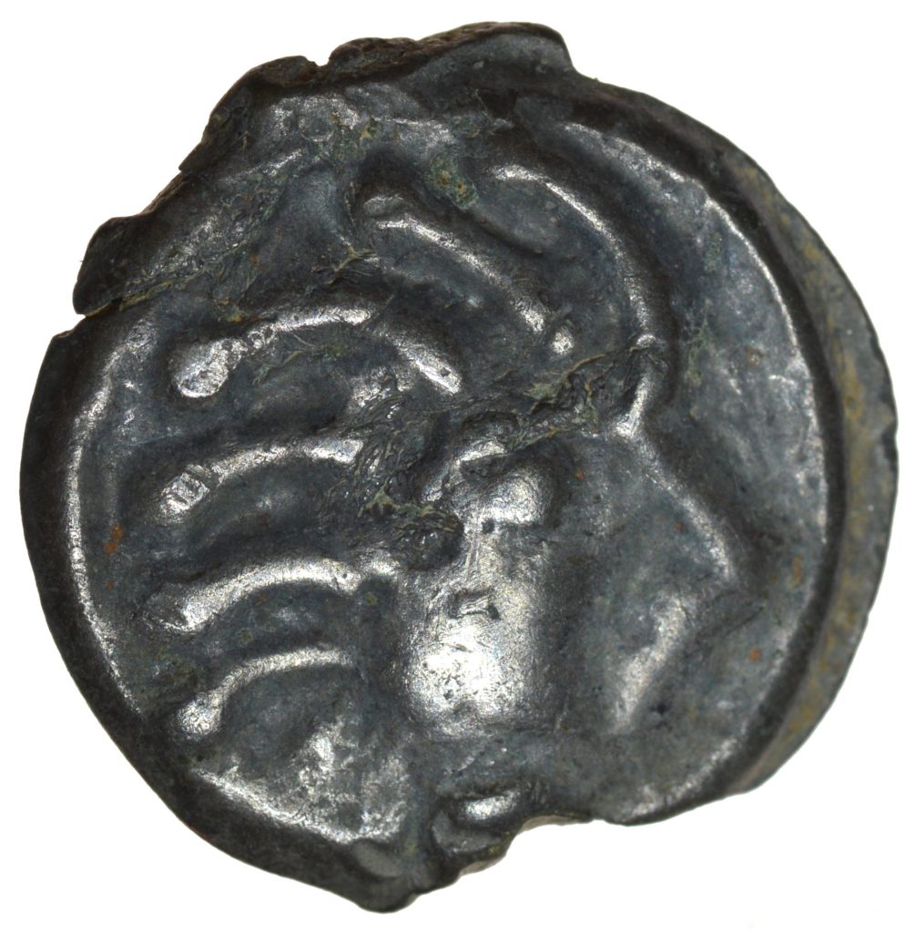 Champagne Boar cast potin | Chris Rudd