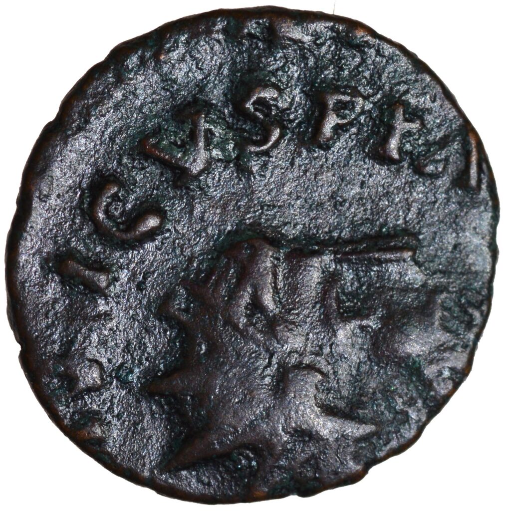 Roman | Product categories | Chris Rudd