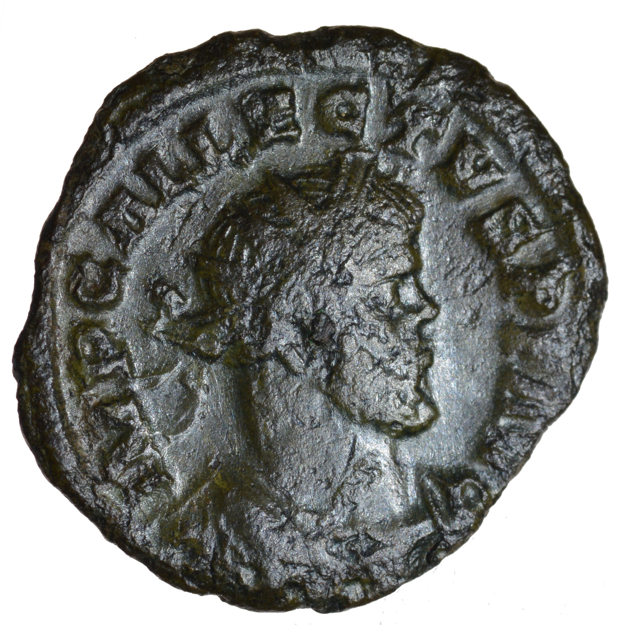 Roman | Product categories | Chris Rudd