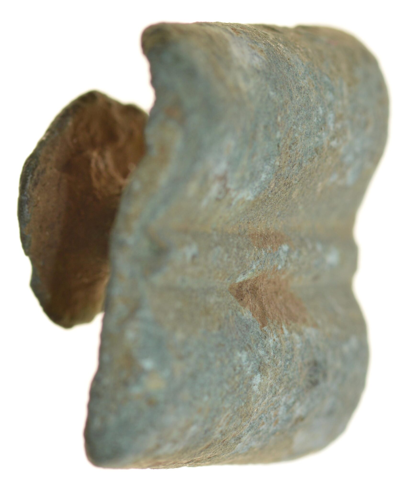 Primitive Money & Artefacts | Product categories | Chris Rudd